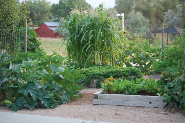 Waterwise Vegetable Gardening